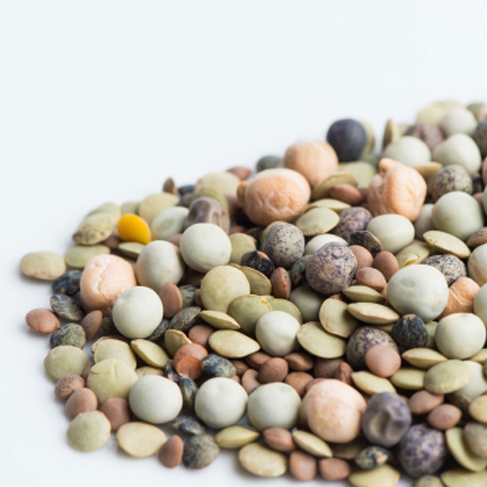 Seeds - Four Season Greens